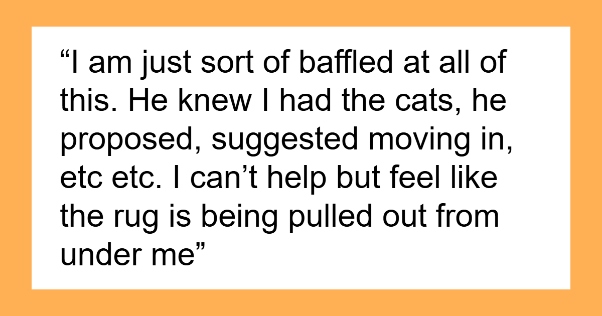 "Dump The Man And Keep The Cats": Manipulative Man Proposes, Then ...