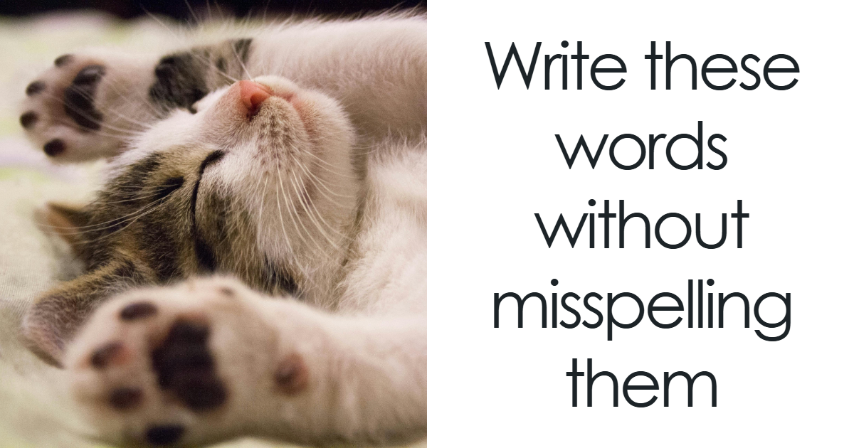 Only 26% Can Type These 28 Words Without A Spelling Mistake – Are You One Of Them? | Bored Panda