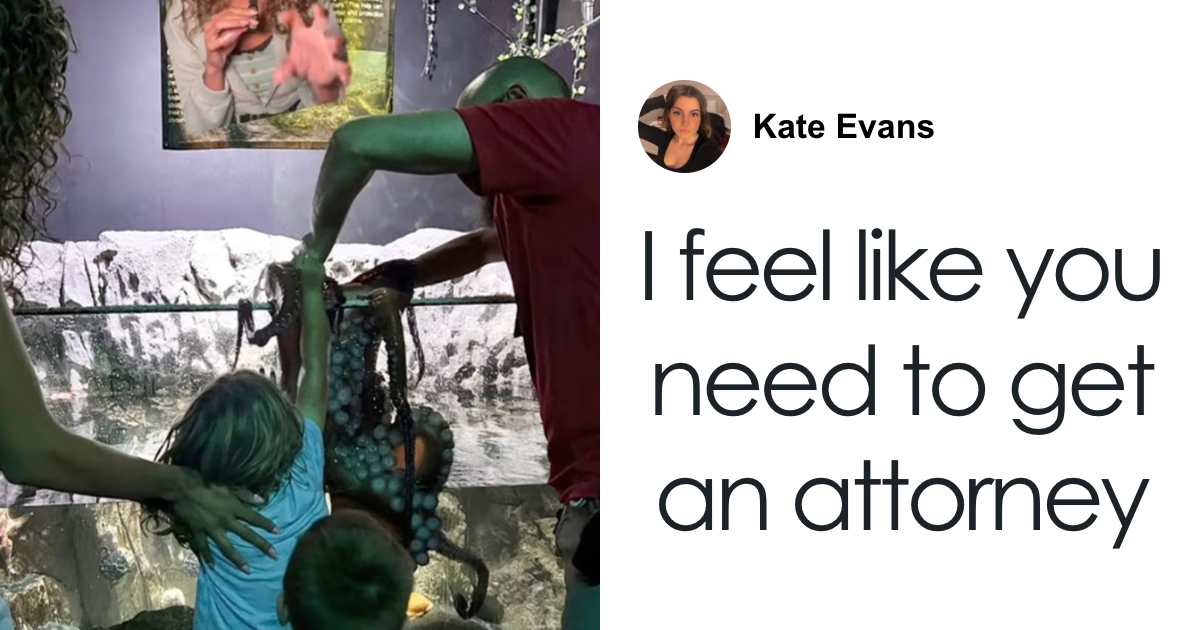 "Have They Never Seen Finding Dory?": Octopus Latches Onto 6-Year-Old ...