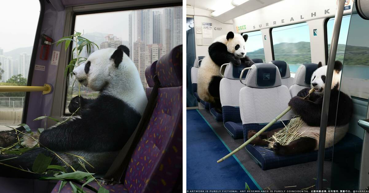 23 Hilarious Panda Edits By SurrealHK That Turn Hong Kong Into A ...