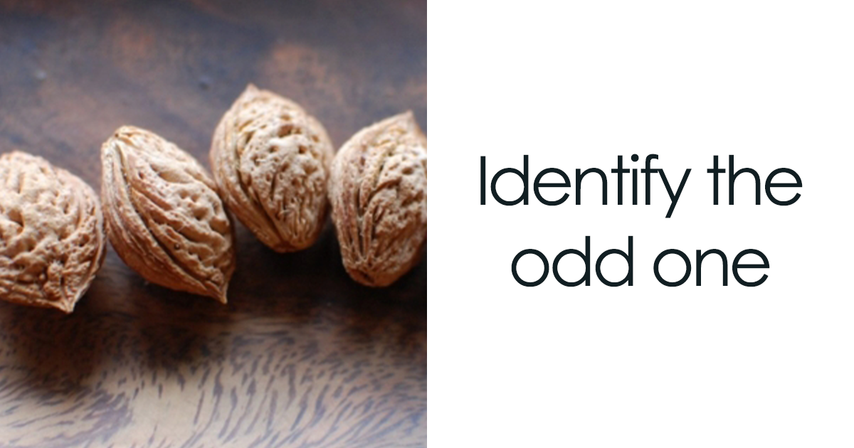 Only 14% Pass This Odd-One-Out Visual Challenge – Are You One Of Them ...