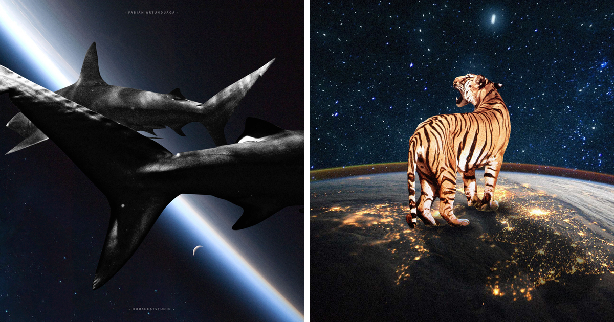 I Made 23 Digital Collages That Bend Space And Reality | Bored Panda