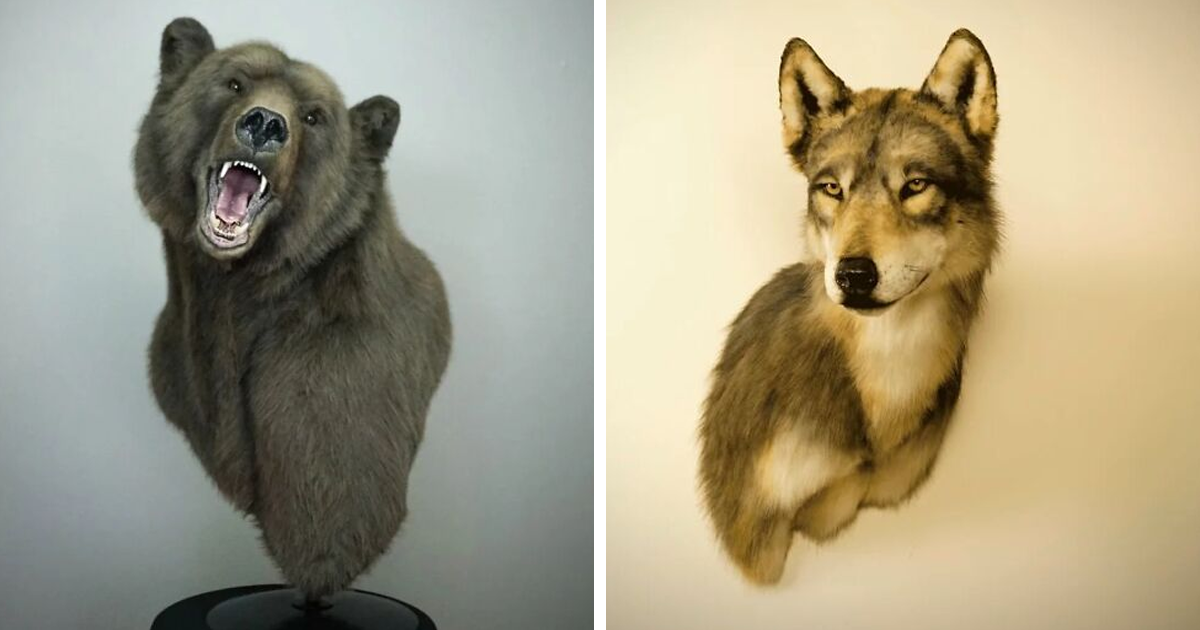 These Two Artists Craft Stunningly Realistic Animal Sculptures With ...