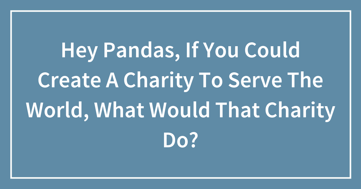 Hey Pandas, If You Could Create A Charity To Serve The World, What ...