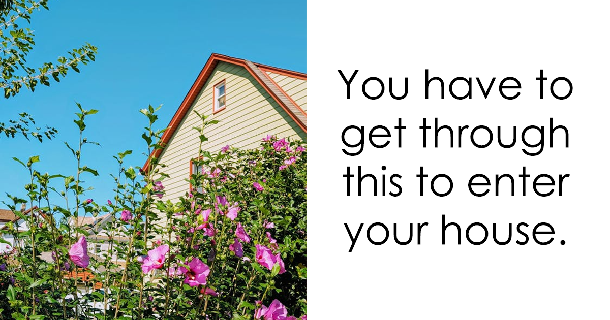 Only 19% Beat This Four-Letter Words Quiz – Are You One Of Them ...