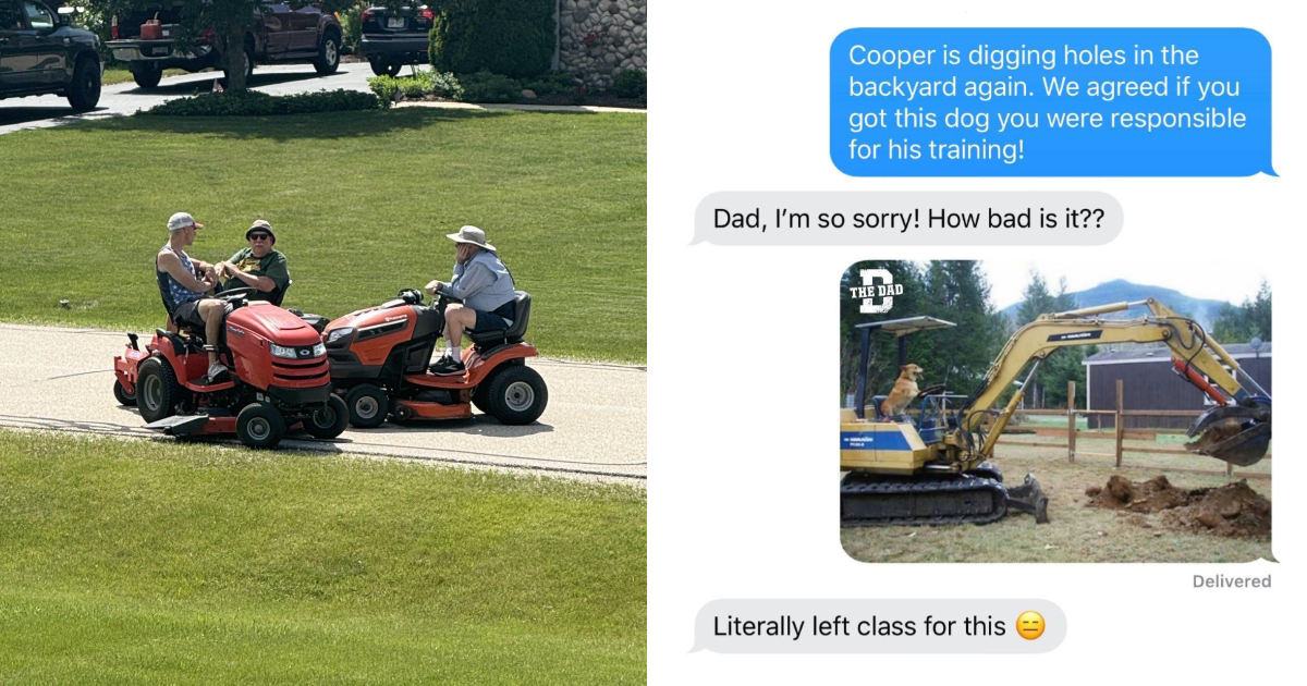 "Equally Embarrassed And Impressed": 50 Hilarious Times Parents ...