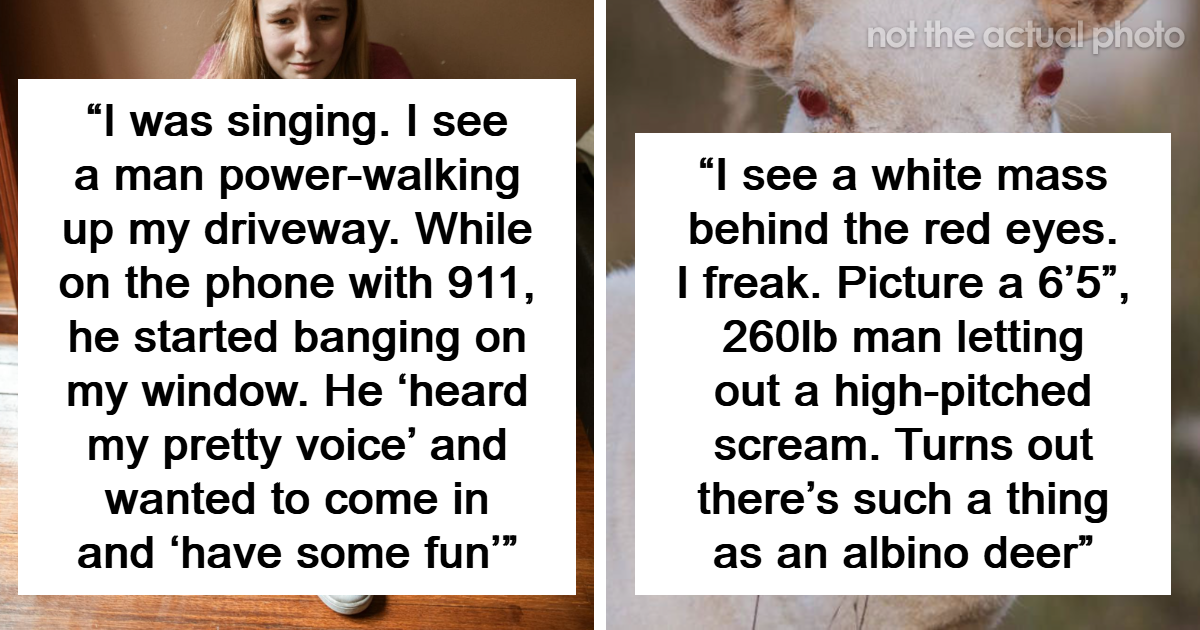 “Worst Day Of My Life”: 46 Home Alone Incidents So Scary, People Still ...