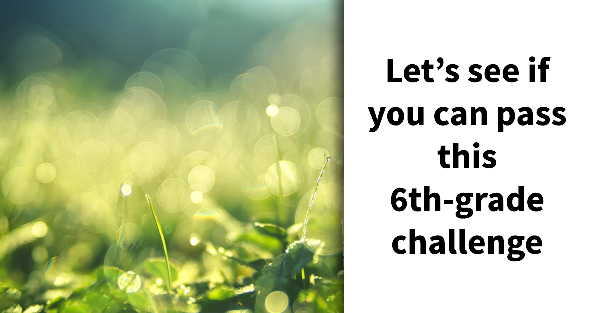 Are You Smarter Than A 6th Grader? Only 12% Pass This Back-To-School ...