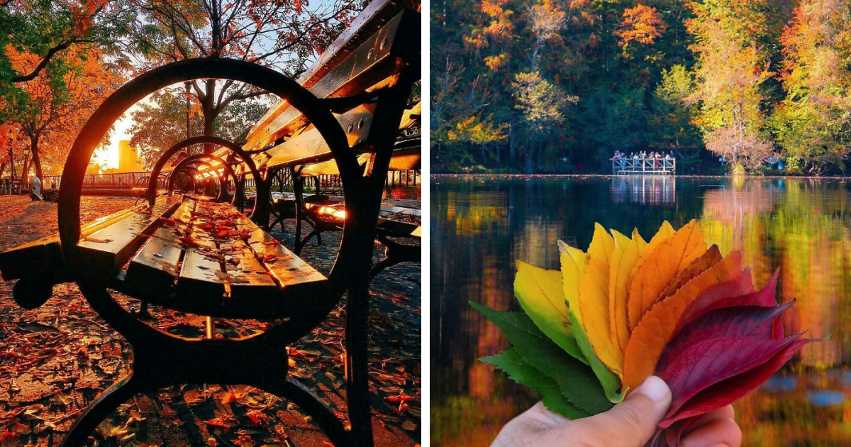50 Stunning Photos That Capture The Breathtaking Beauty Of Fall Foliage ...