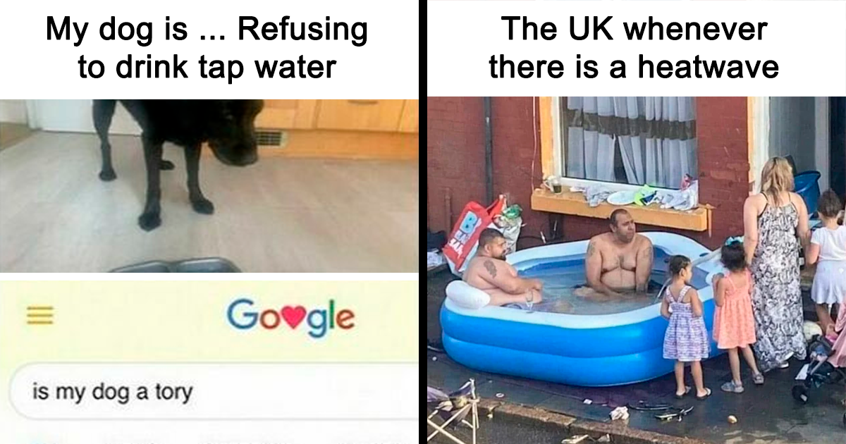 50 Unapologetically Hilarious Memes That Are So British, They’re ...