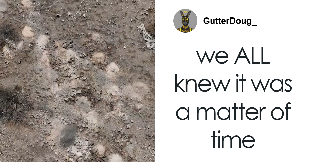 Urgent Investigation Launched After Hundreds Of Piles Of Human Remains ...