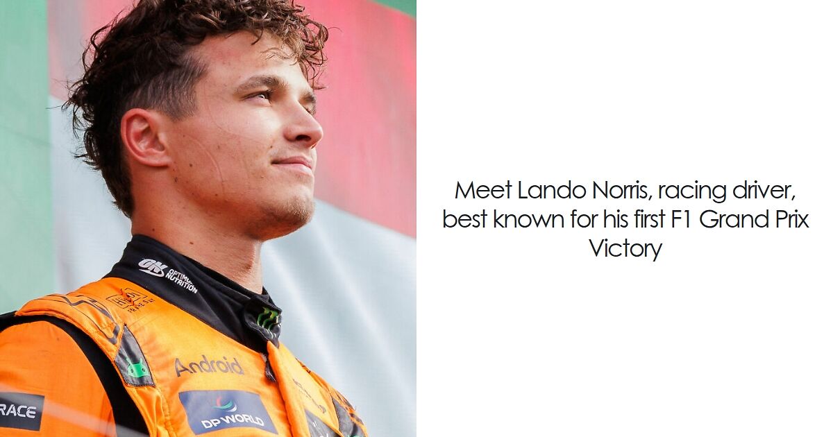 Lando Norris: Bio And Career Highlights | Bored Panda