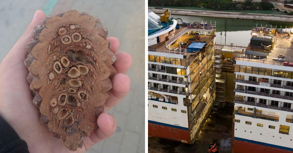 “Inside Of A Hot Air Balloon”: 50 Cool Pictures Of Things Taken Apart ...