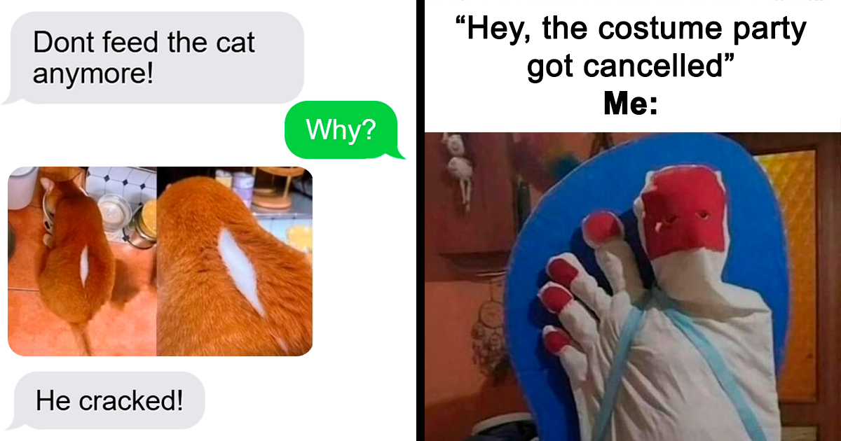 70 Randomly Funny Memes That Make Life Feel Just A Little Lighter ...