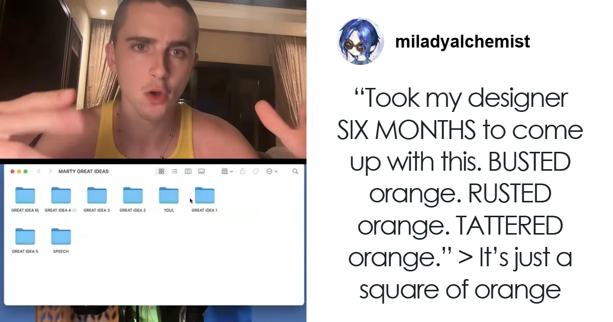 Timothée Chalamet's "Painful" Zoom Call With PR Team Leaves Fans ...