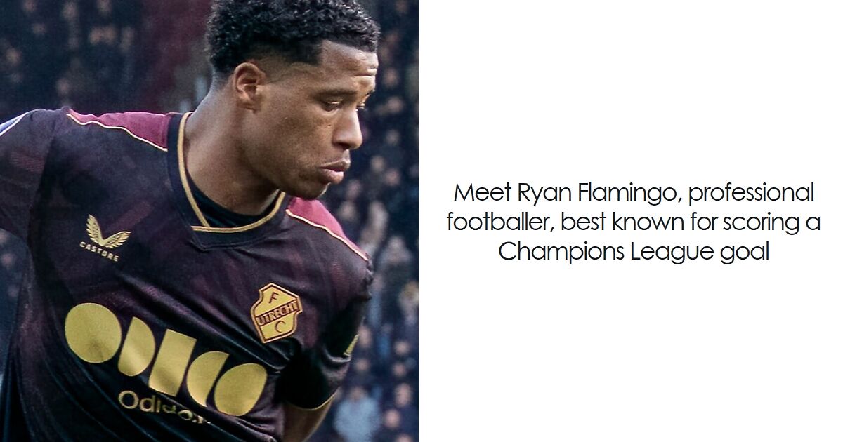 Ryan Flamingo: Bio And Career Highlights | Bored Panda