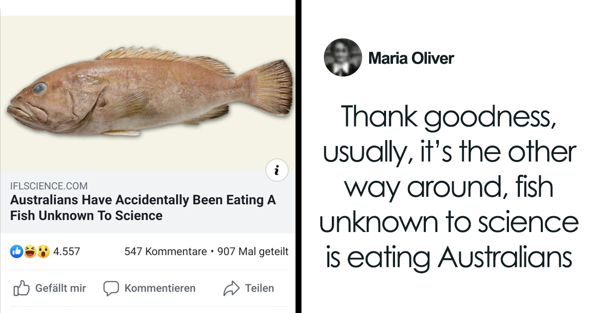 79 Funny Random Memes That Are Somehow Exactly What You Needed Today