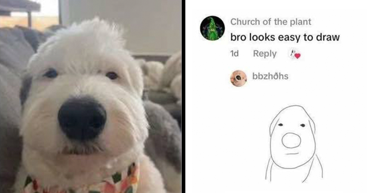 80 Memes That Made People Laugh Way More Than Planned | Bored Panda