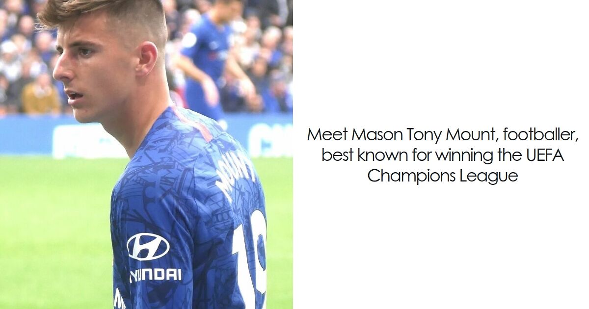 Mason Mount: Bio And Career Highlights | Bored Panda