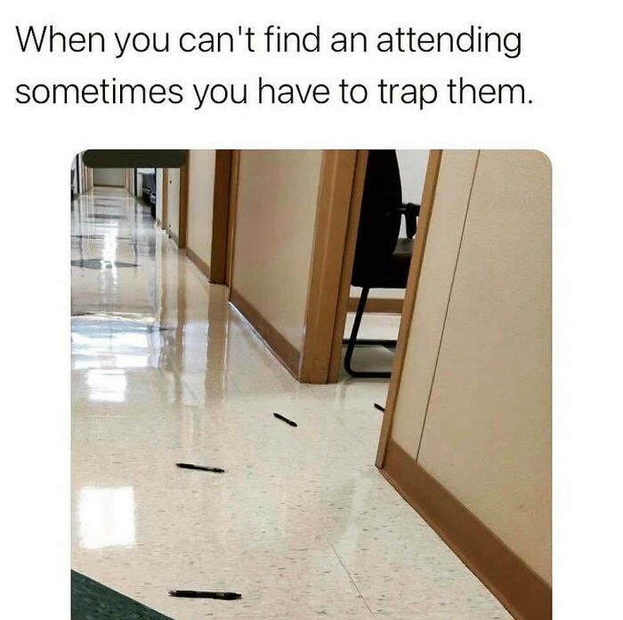 81 Memes To Read And Hope That Humor Really Is The…