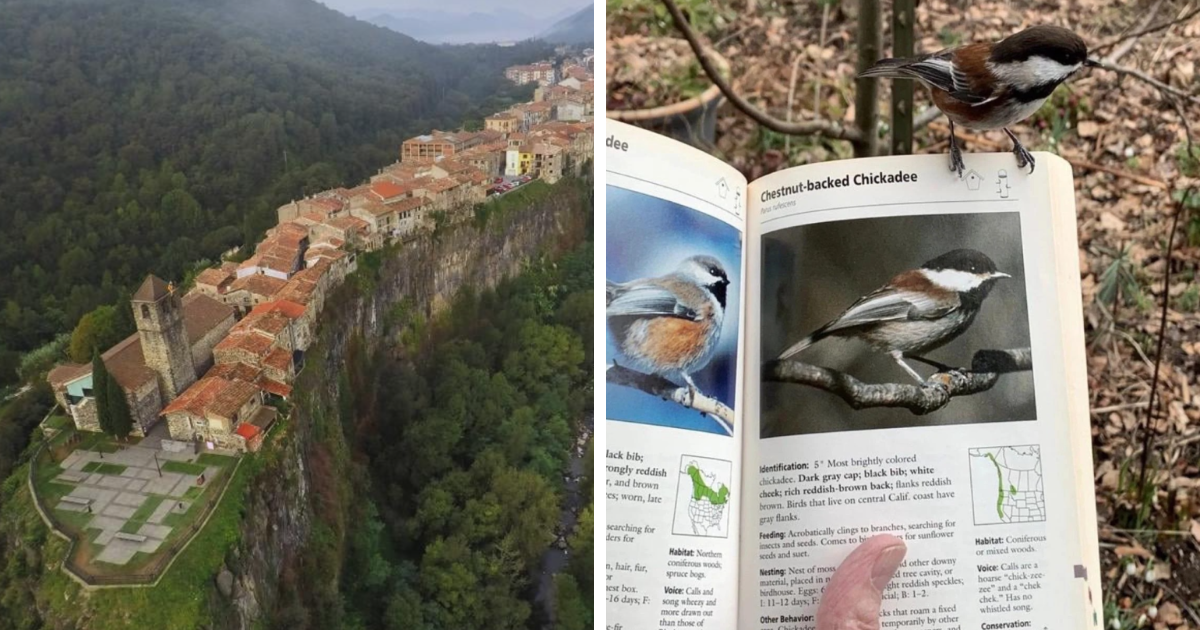 47 Amazing Photos That Might Brighten Your Day And Teach You Something ...