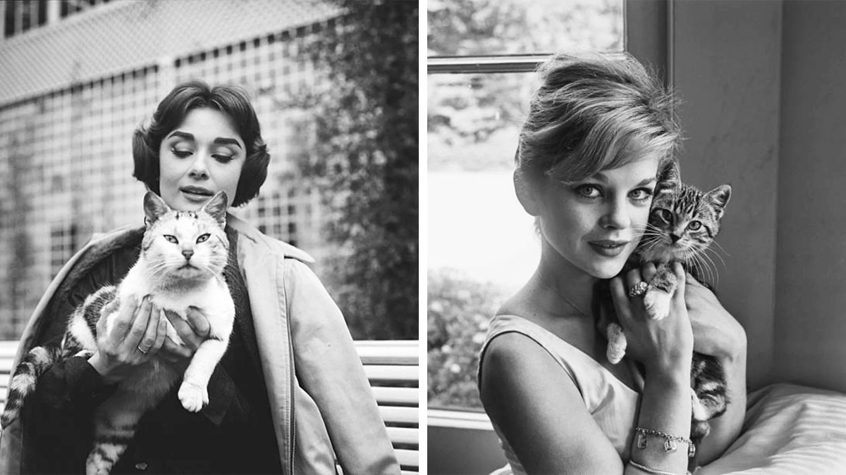 44 Vintage Photos Showing Famous People And Ordinary Folks Equally ...