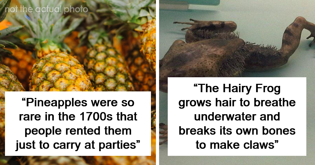 “Nature Is Brutal”: 100 Fascinating Facts That May Make You Rethink ...