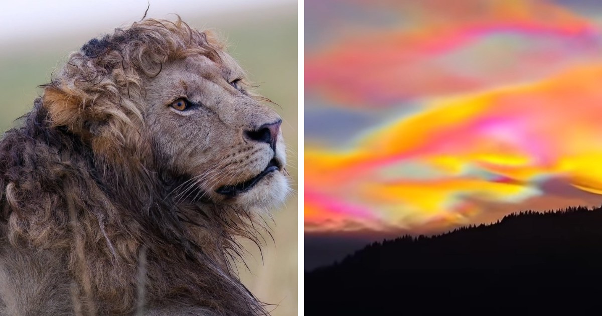 42 Interesting Pics That Have An Even More Intriguing Story | Bored Panda